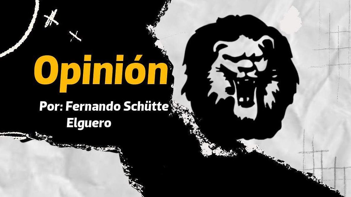 Opinión por Fernando Schütte Elguero / Entre la crítica y el ...