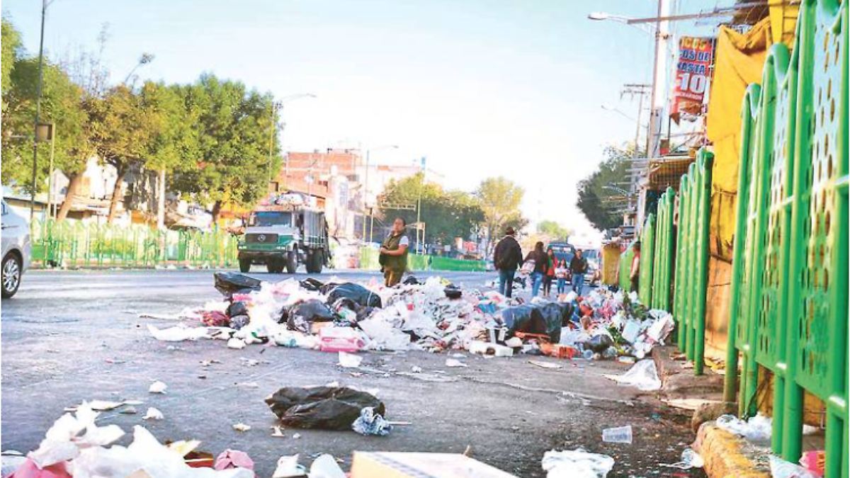 Proponen en el Congreso multa y trabajo comunitario a quienes tiren ...