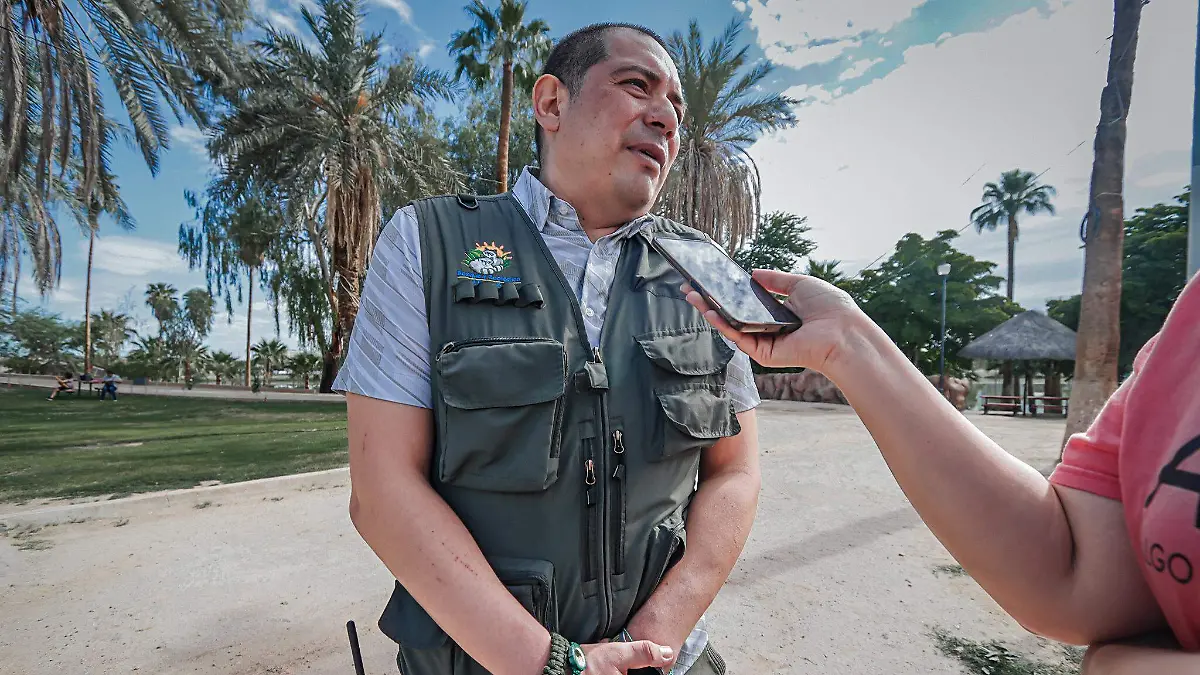 Aparición de reptiles en la ciudad aumenta hasta 80% en verano: Bosque ...